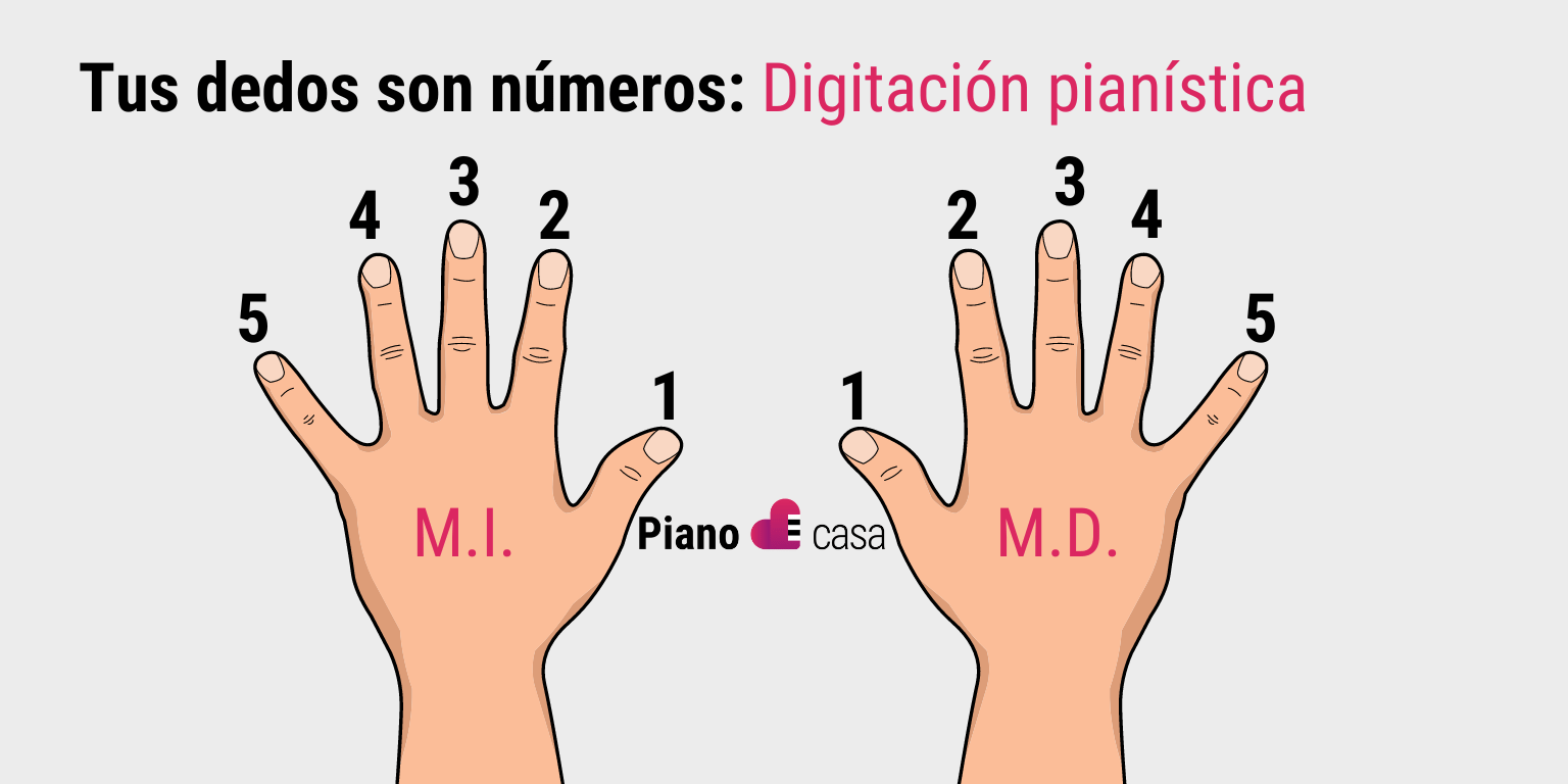 Notas Musicales: La Guía Definitiva 2023